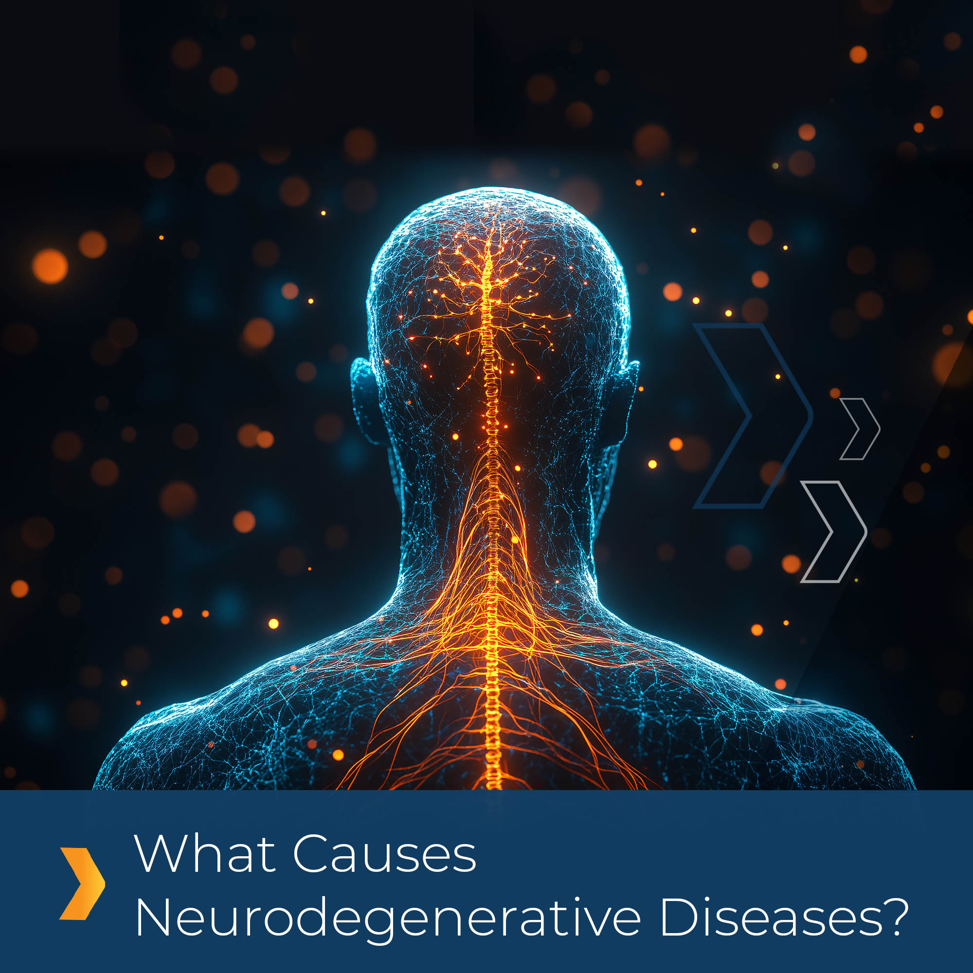 What Causes Neurodegenerative Diseases? - MRIGlobal